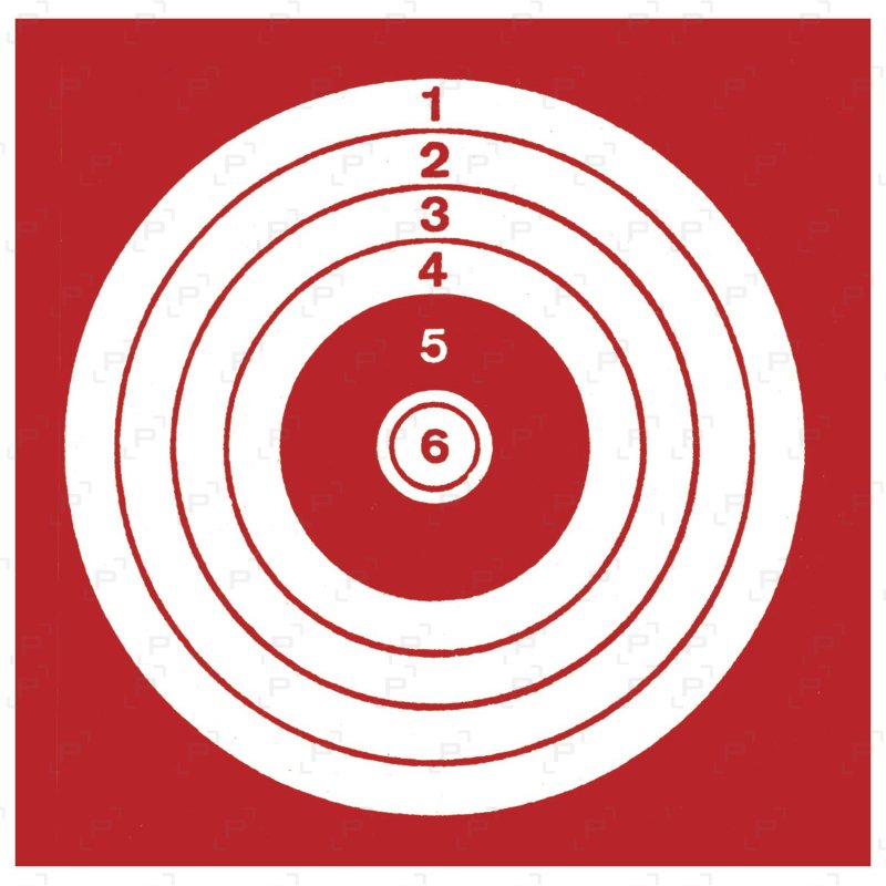 Cible cartonnée COURT C10 10x10 cm - Armurerie Pisteurs