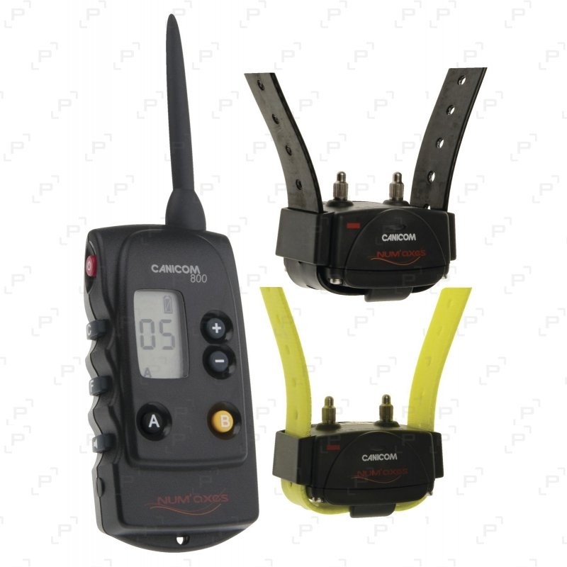 Pack de dressage NUM'AXES CANICOM 800 - 2 CHIENS avec deux colliers ...