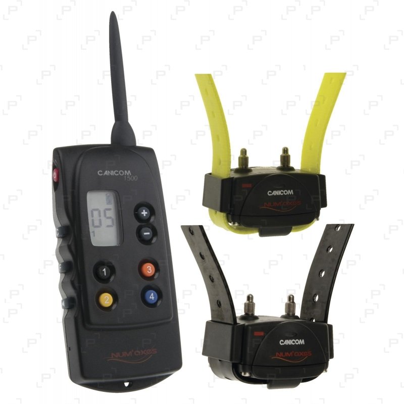 Pack de dressage NUM'AXES CANICOM 1500 - 2 CHIENS - Armurerie Pisteurs