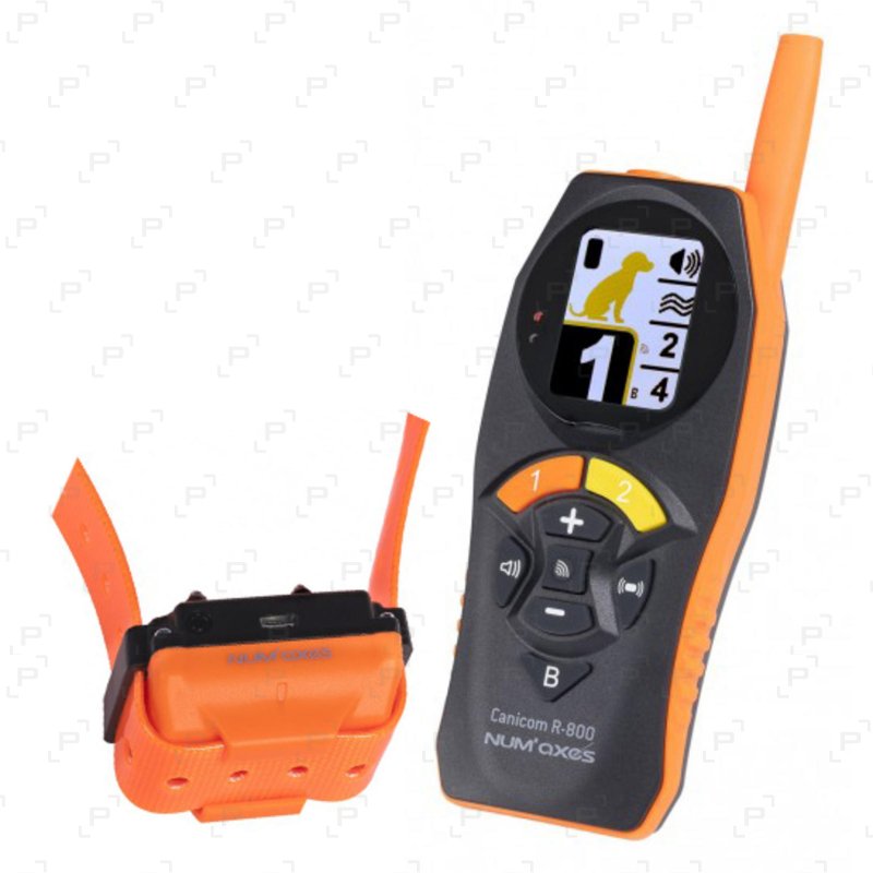 Pack collier de dressage NUM'AXES CANICOM R-800 - Armurerie Pisteurs