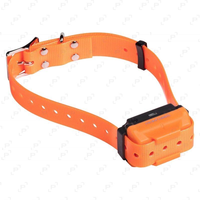 Pack collier de dressage NUM'AXES CANICOM R-800 - Armurerie Pisteurs