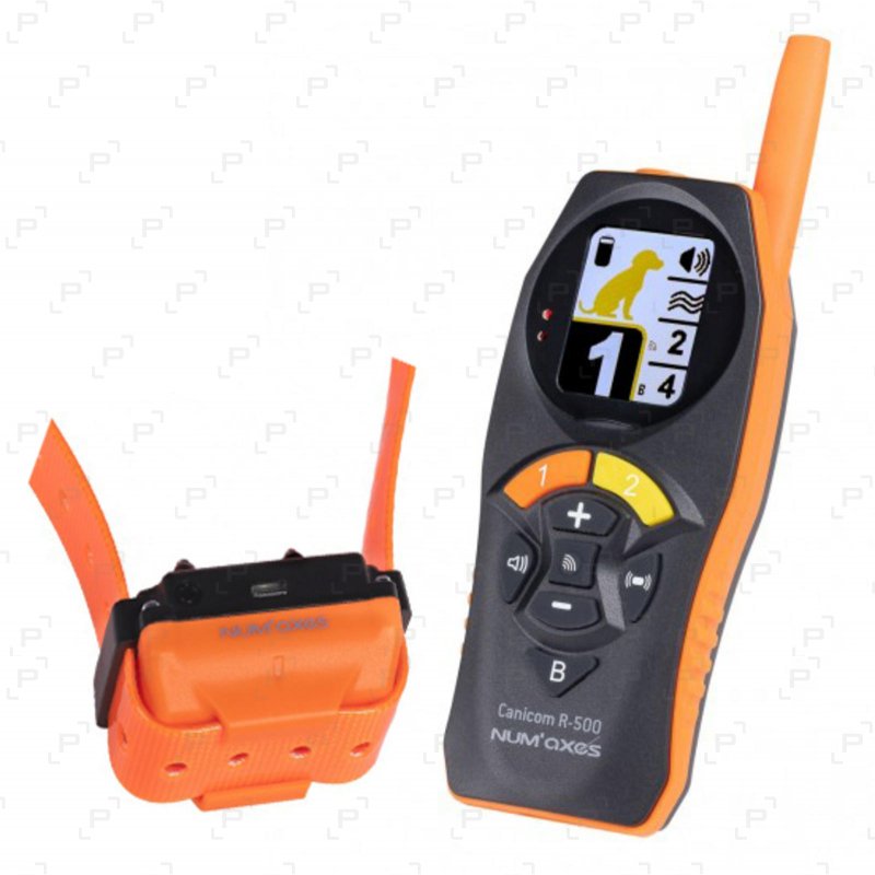 Pack collier de dressage NUM'AXES CANICOM R-500 - Armurerie Pisteurs