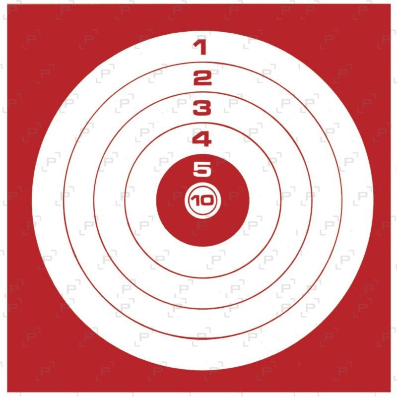 Cible cartonnée COURT C10 10x10 cm - Armurerie Pisteurs