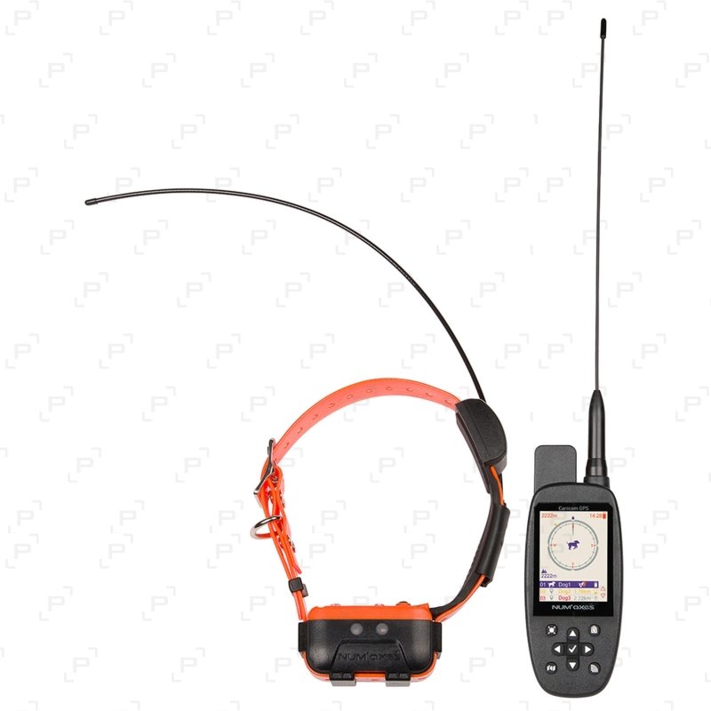 Pack de repérage et de dressage NUM'AXES CANICOM GPS 2 - Armurerie Pisteurs