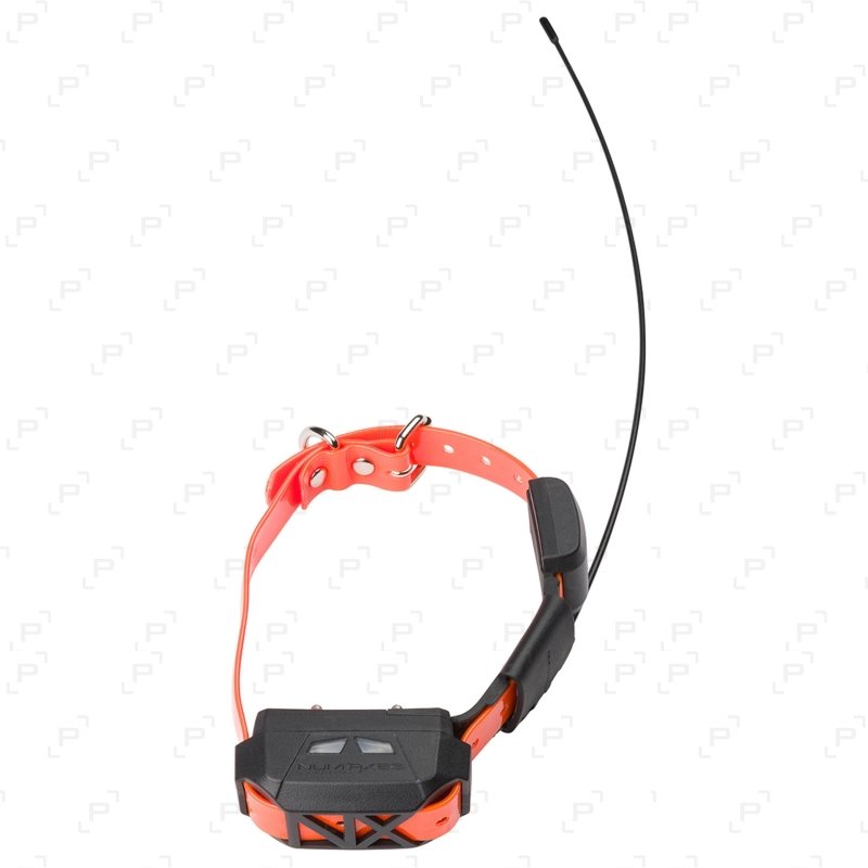 Collier supplémentaire de repérage et de dressage NUM'AXES CANICOM GPS ...