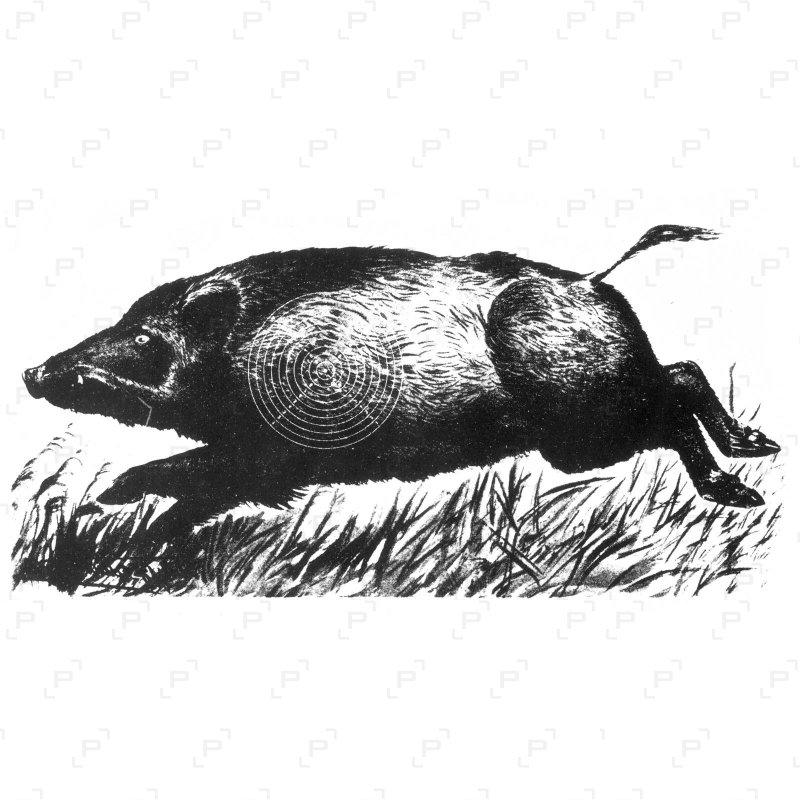 Boite de 20 cartouches à balle de grande chasse NORMA VULKAN .30-06 - 180 GR - Armurerie Pisteurs