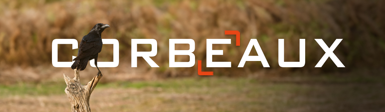 Découvrez nos équipements pour la chasse au corbeau chez Pisteurs